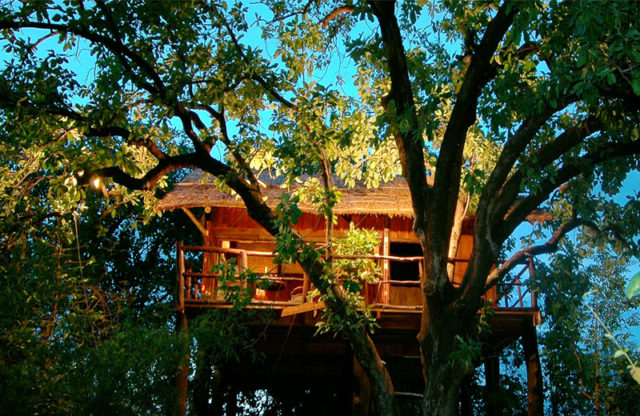 10 affection soaked tree houses in India -dreamy beauties - Travelsite ...